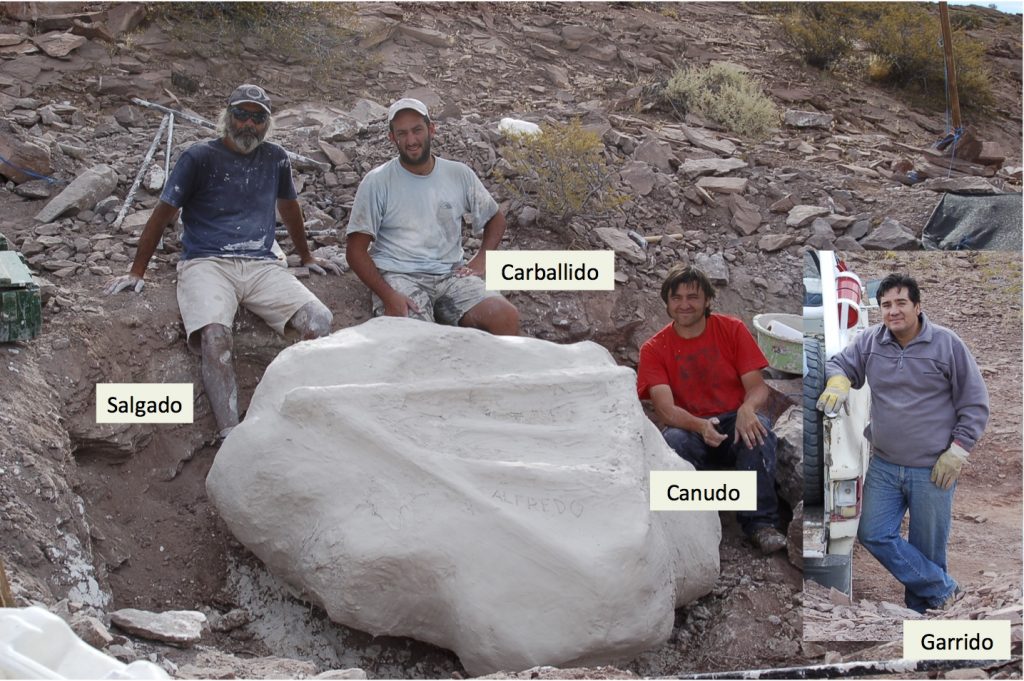 Descubierto un nuevo dinosaurio saurópodo en la Patagonia argentina ...
