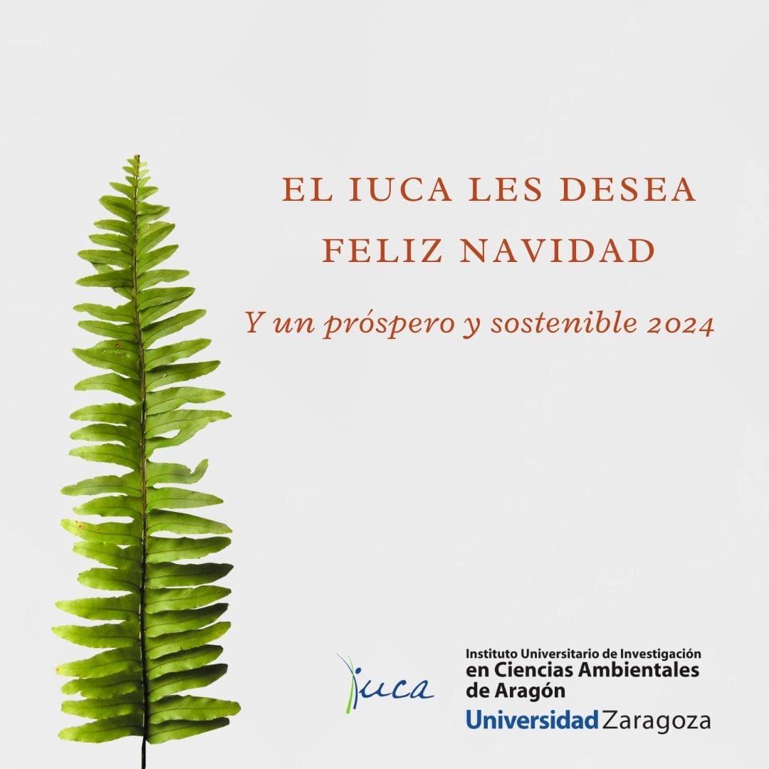 EL IUCA les desea felices fiestas – IUCA – Instituto Universitario de ...
