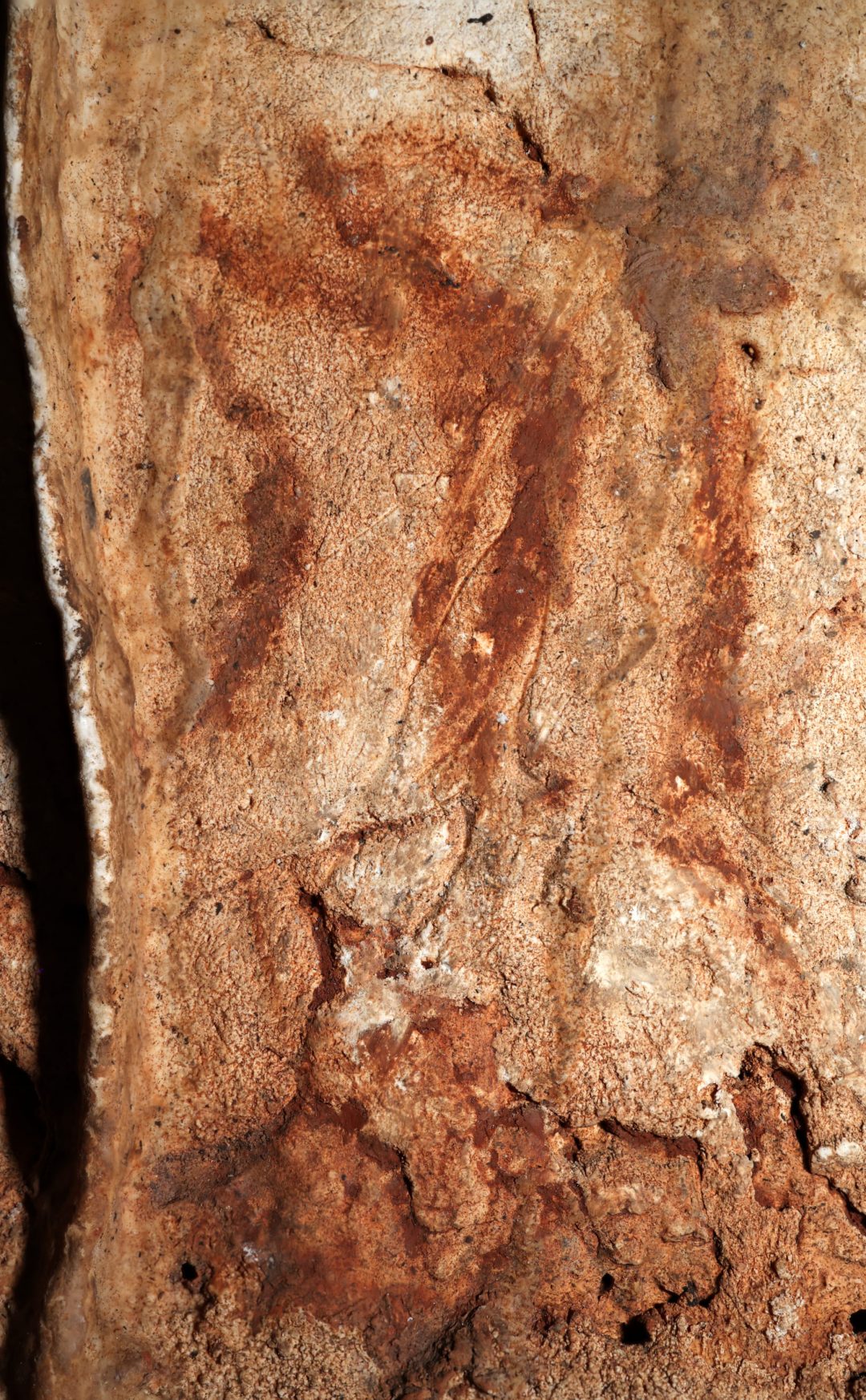 Continúan los hallazgos en Cova Dones: descubierto un santuario romano ...